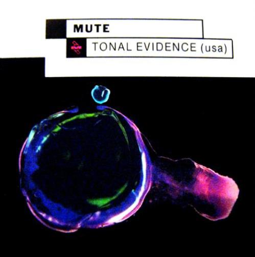 Mute Label Tonal Evidence [USA] US CD album (CDLP) (456890)
